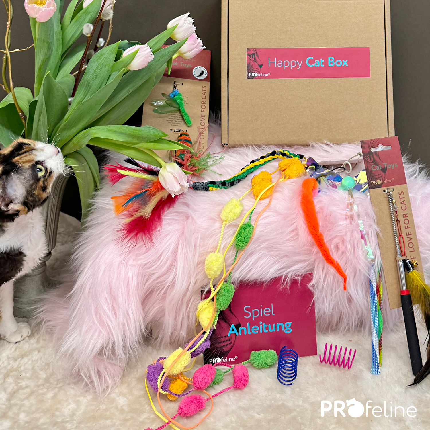 Katzenzubehör im Sale - Entdecken Sie unsere reduzierten Angebote