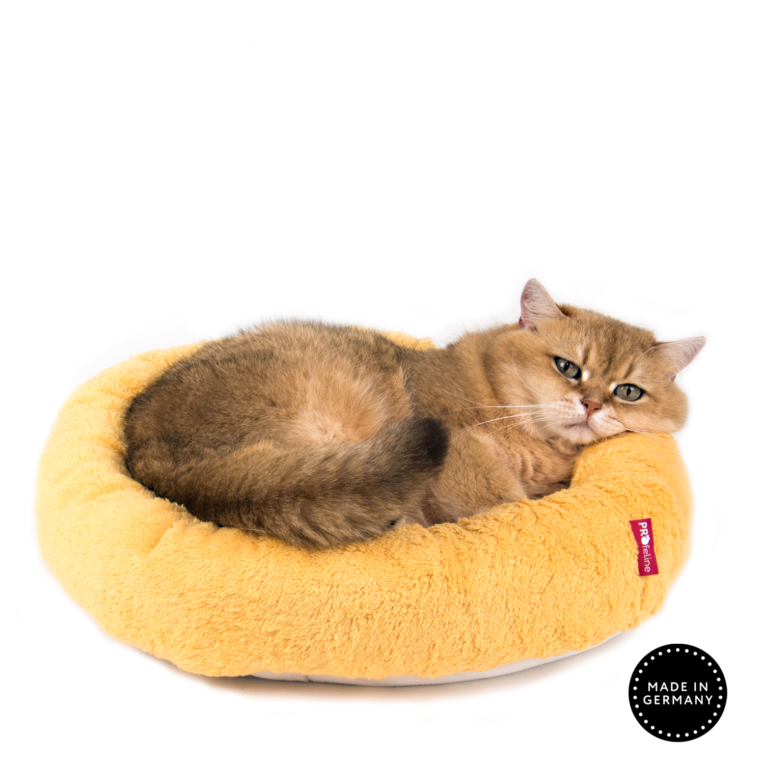 Neuheiten für Katzen - Entdecken Sie neue Artikel im Profeline KatzenShop