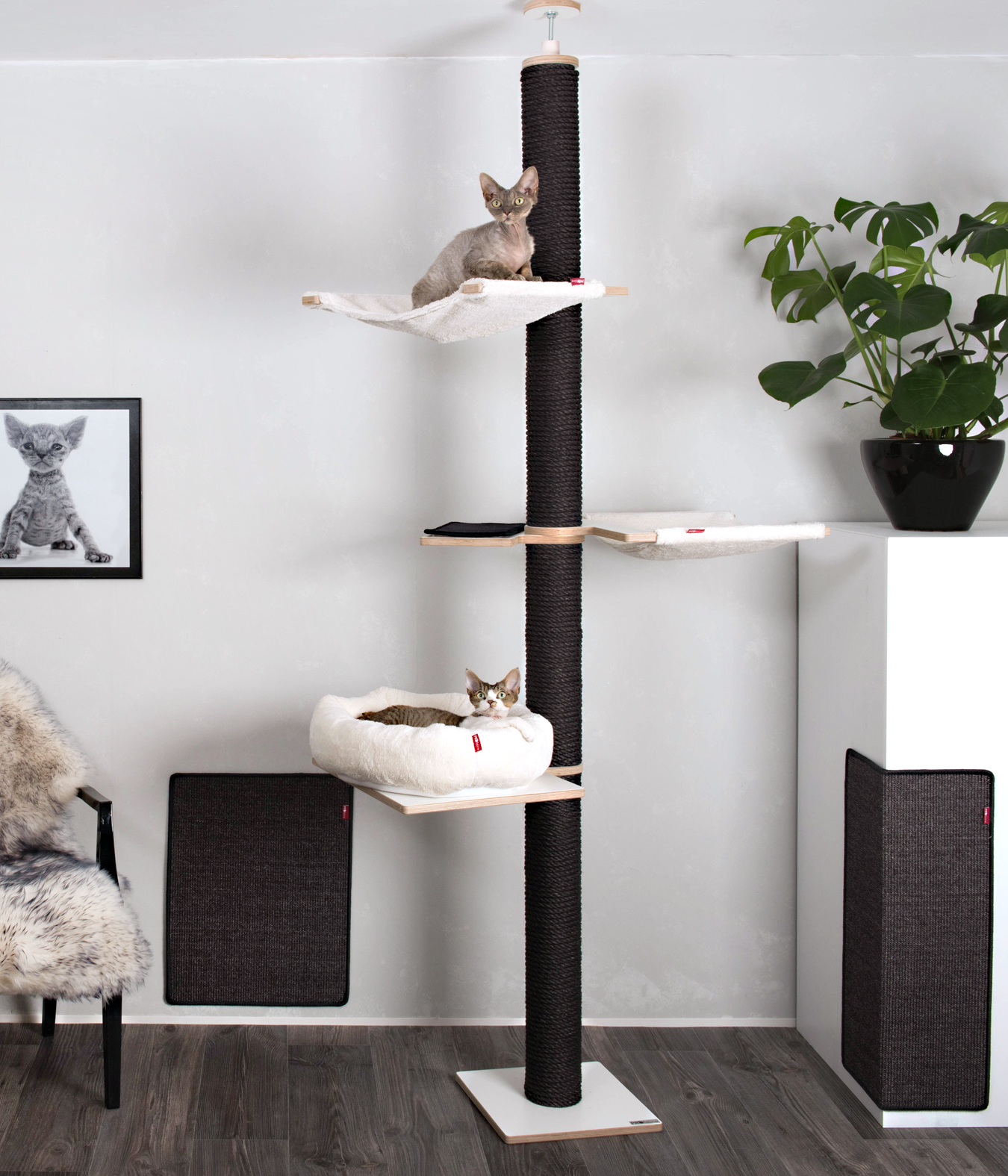 Kratzbaum - Hochwertige Kratzbäume für Katzen: Entdecken Sie unsere Auswahl